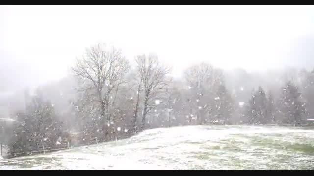 Nature Sounds - نماشا